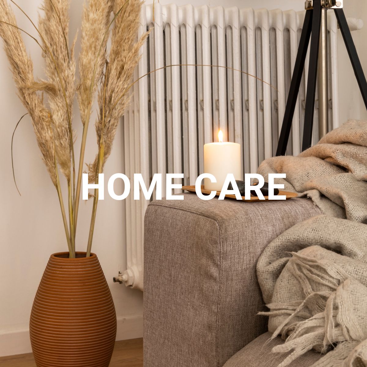 Olfactive Nugget : Citrus - IES INGREDIENTS